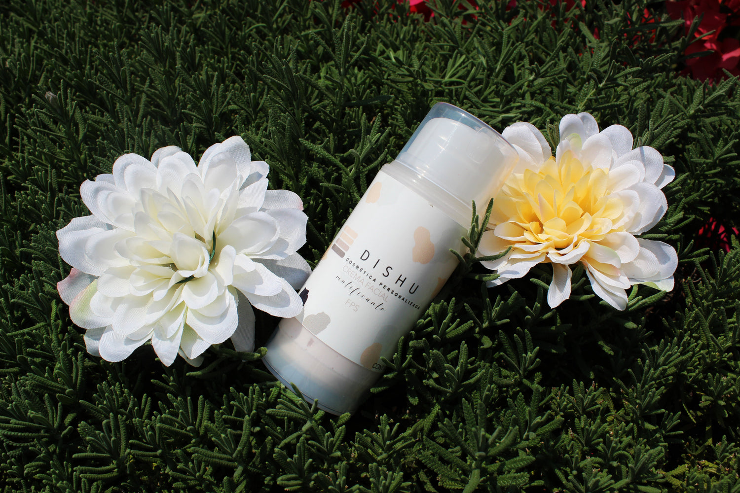 Colecciones – DISHU